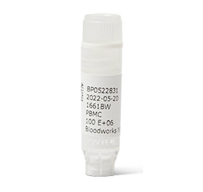 Human Peripheral Blood Mononuclear Cells (PBMCs) | Bloodworks Bio